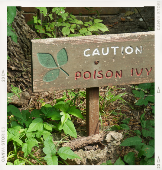 Home - NJ Poison Control Center