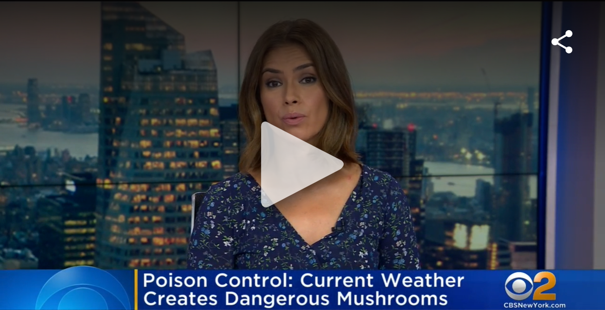 NJ Poison Control Center In The News 2021